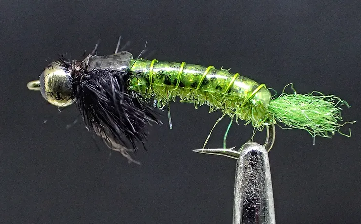 Net Spinning Samaritans (Fly Fishing)