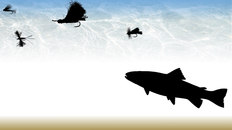 Attracting Rises from Trout (Fly Fishing Dry Flies)