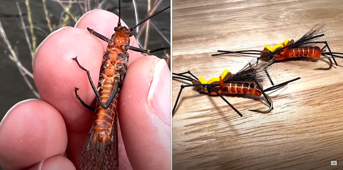 Improving the Salmonfly Dry Fly | Fly Tying